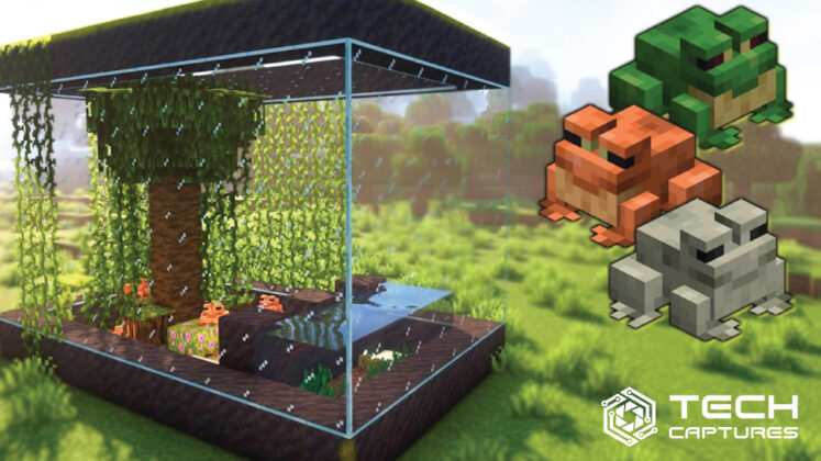 How to Breed Frogs in Minecraft: Complete Guide for All Players ...